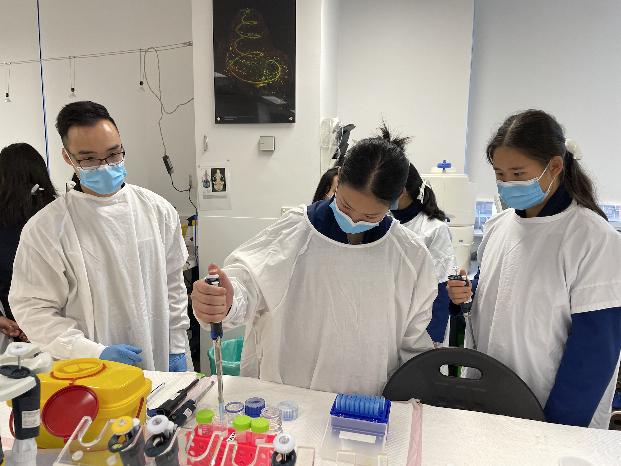 Bionics Institute Girls in STEM Mentoring Program Commences | Loreto Mandeville Hall